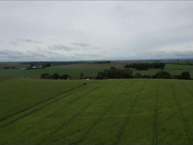 Fazenda