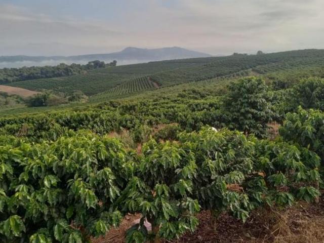 Fazenda