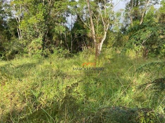 Fazenda