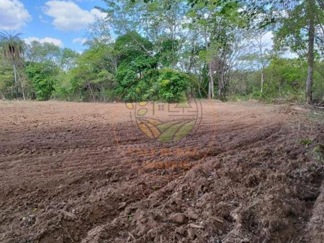 Fazenda