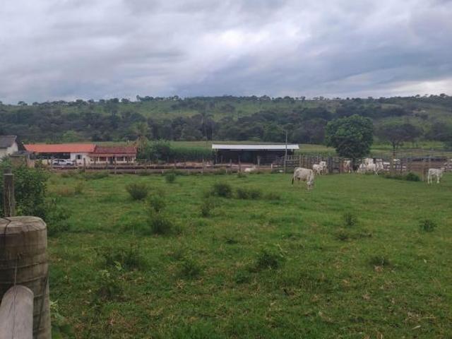 Fazenda