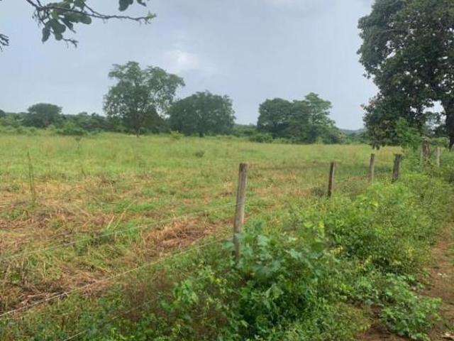 Fazenda