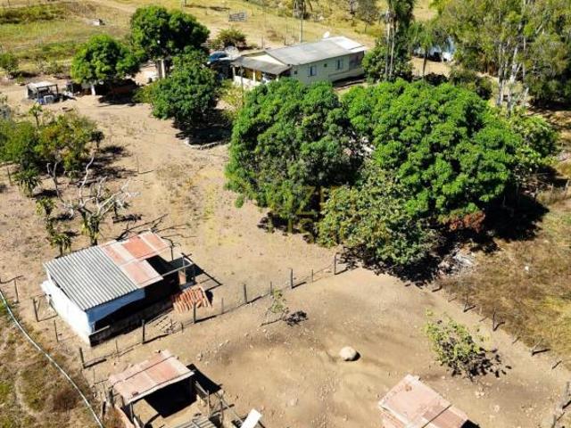 FAZENDA 65 HA 52 KM DE TAGUATINGA