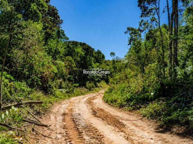 Fazenda