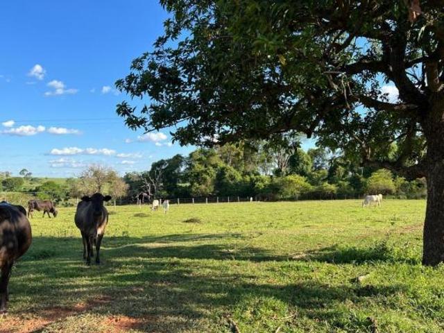 Fazenda