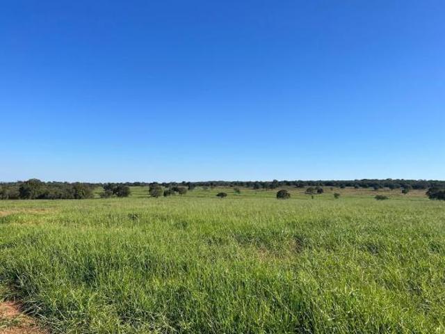 Fazenda