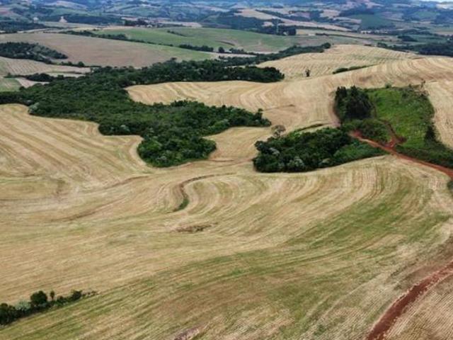 Fazenda