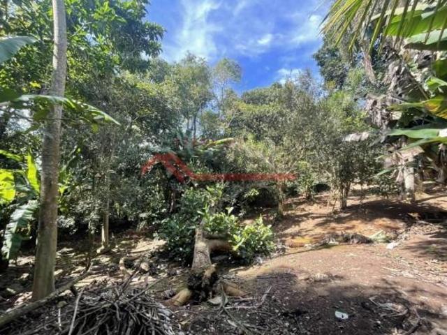 Fazenda