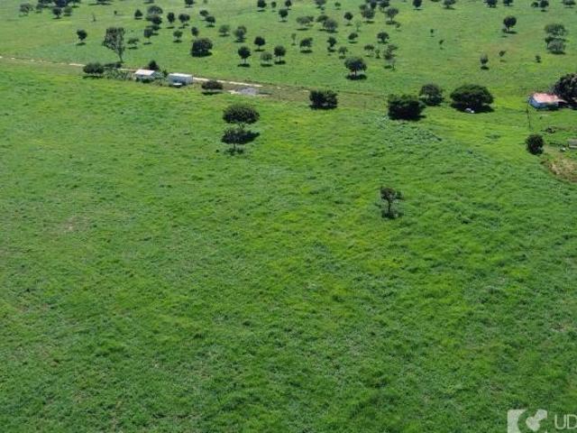 Fazenda