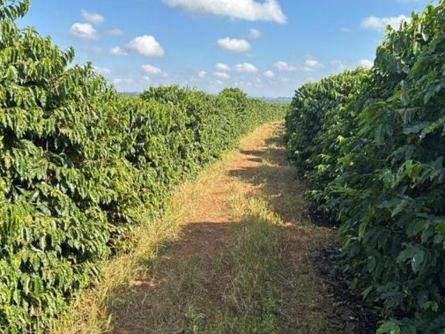 Fazenda