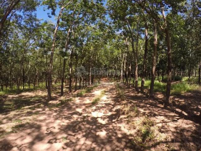 Fazenda