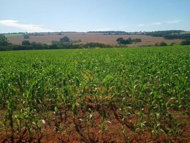Fazenda