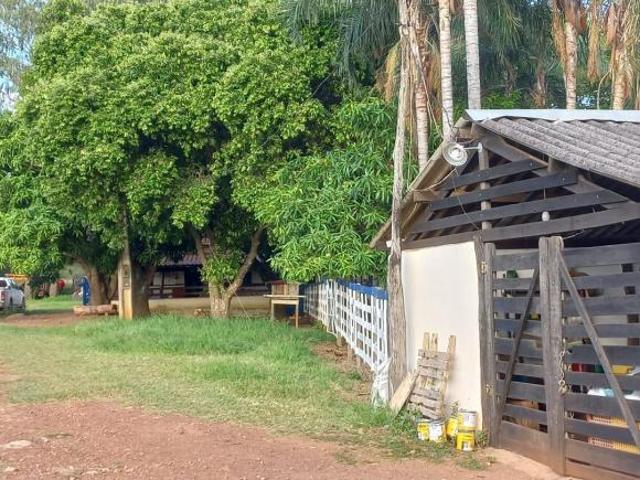 Fazenda 67 hectares em Unaí Gado e Agricultura