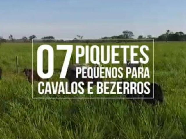 Fazenda