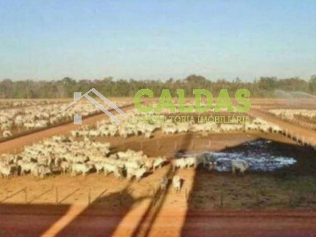 Fazenda
