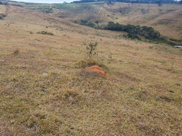 Fazenda