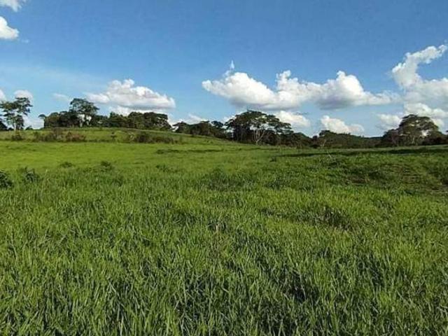 Fazenda para venda em Centro, Córrego Danta