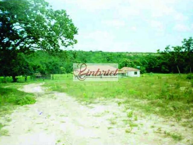 Fazenda