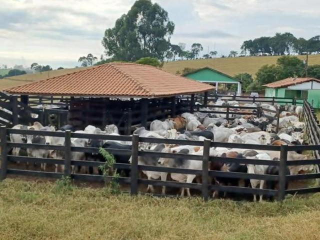 Fazenda