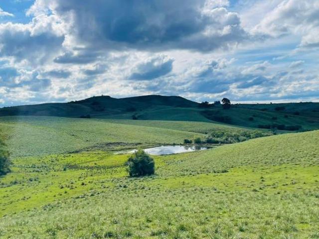 Fazenda