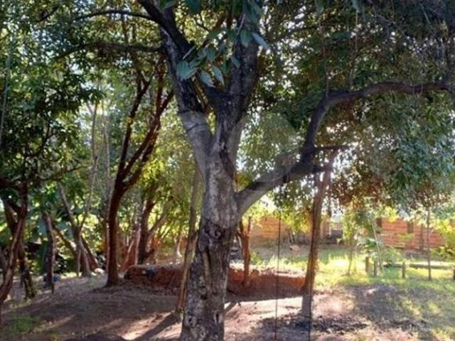 Fazenda