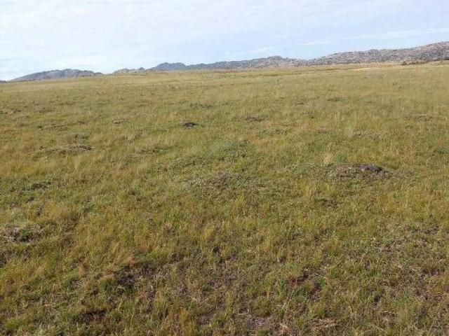 Fazenda