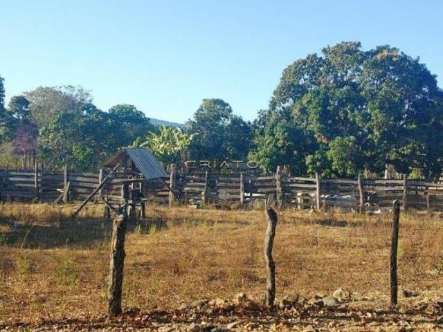 Fazenda