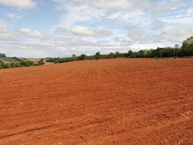 Fazenda 69 Alqueires, lavoura 30 Alqueires, Restante Reserva, App e uma Pequena Parte em Pasto, Topo