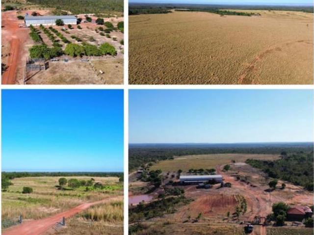 FAZENDA 600 HECTARES EM PASTAGEM APTIDÃO AGRÍCOLA 1100 HECTARES VENHA CONFERIR!