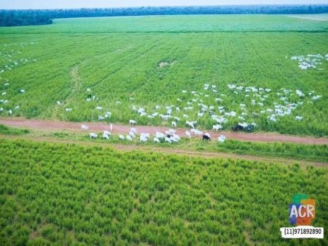 Fazenda