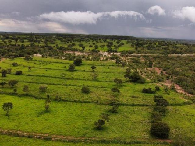 Fazenda