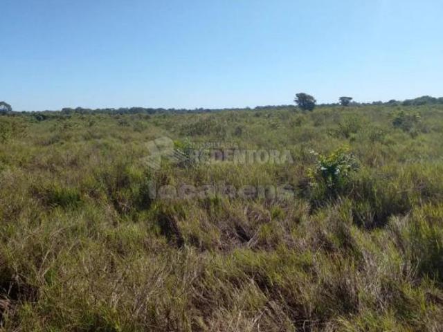 Fazenda