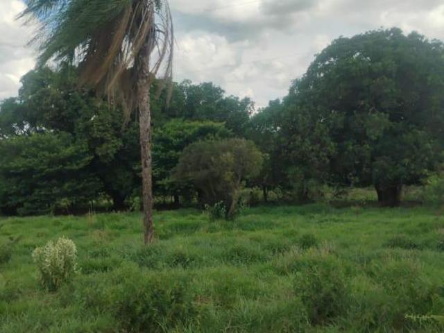 Fazenda para venda em Centro, Frutal
