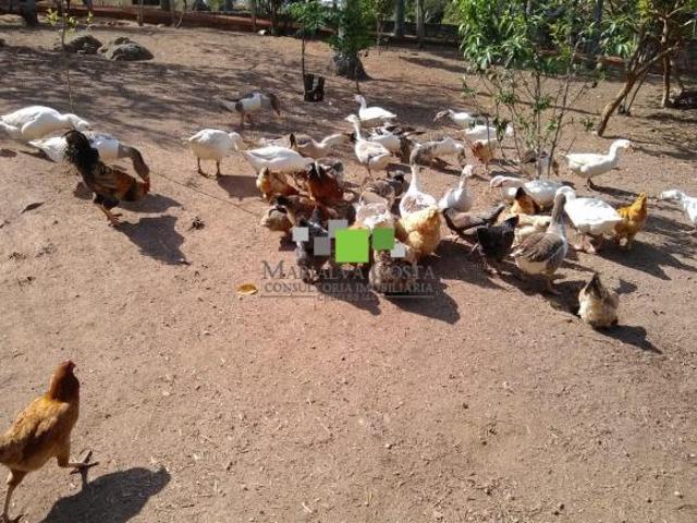 Fazenda