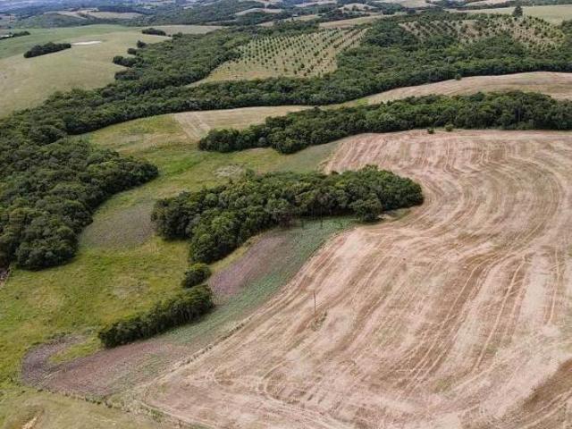 Fazenda