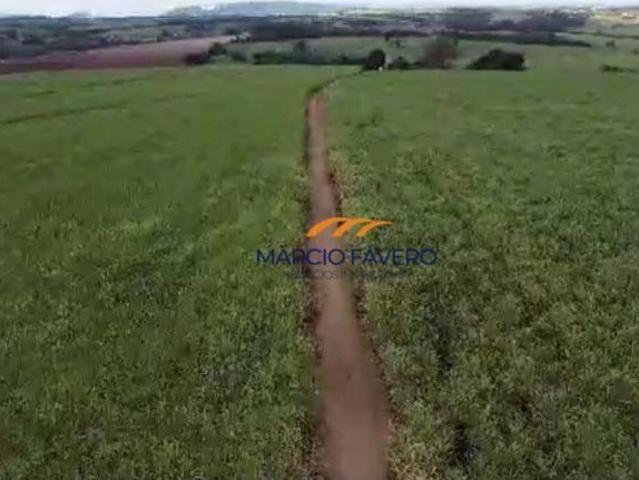 Fazenda