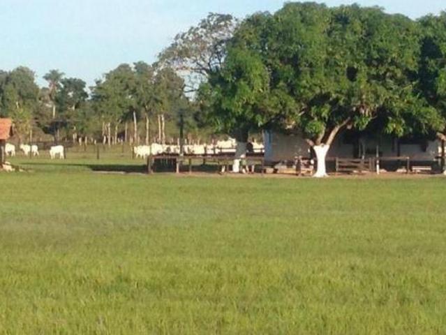 Fazenda