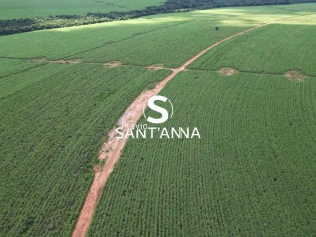 Fazenda