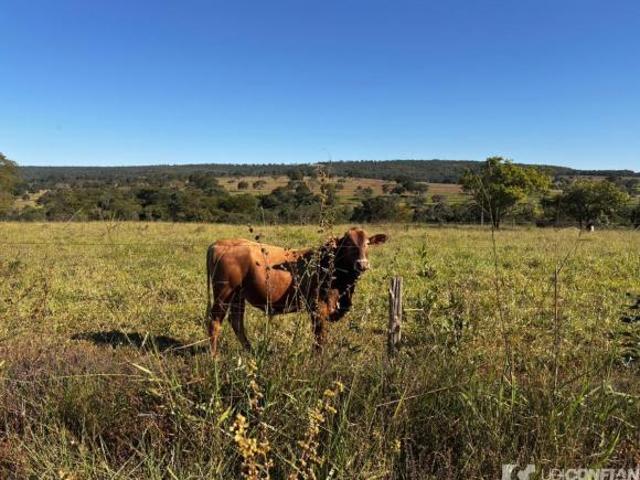 Fazenda