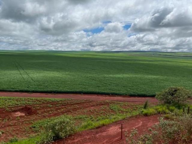 Fazenda