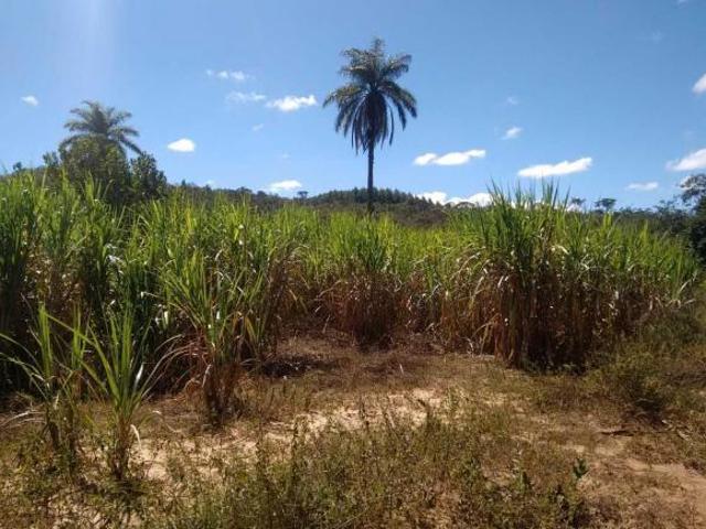 Fazenda