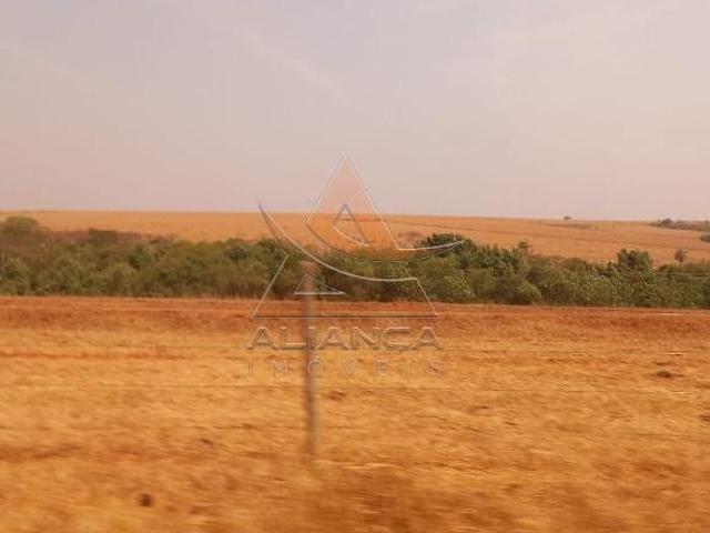 Fazenda