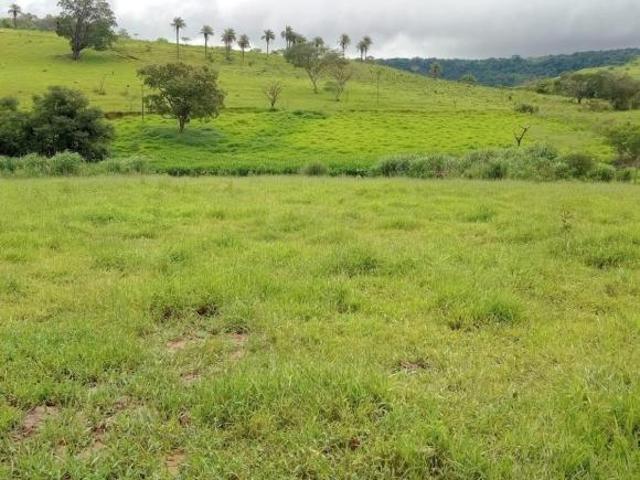 Fazenda