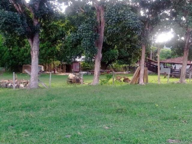 Fazenda