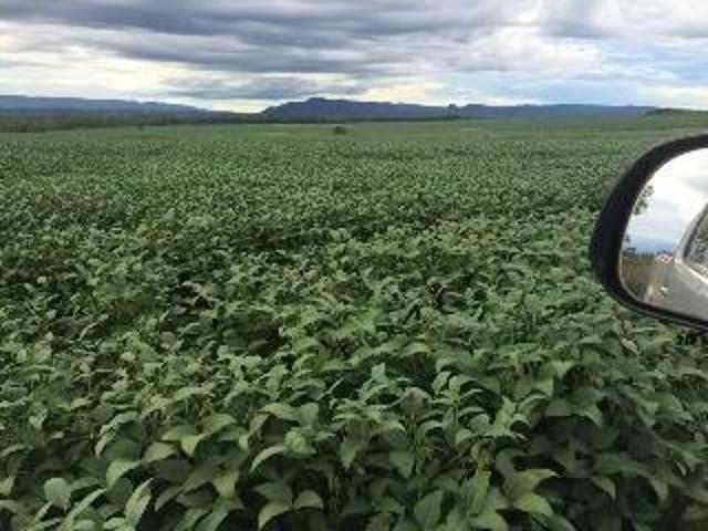 Fazenda