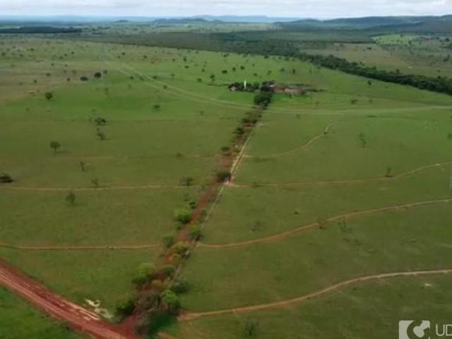 Fazenda