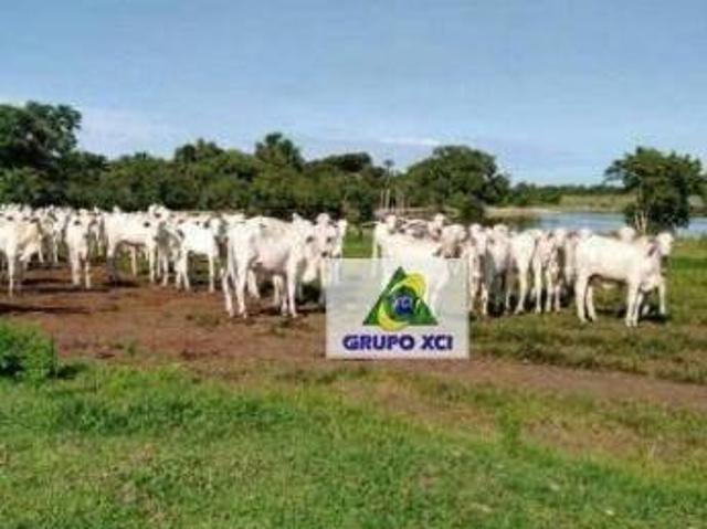 Fazenda