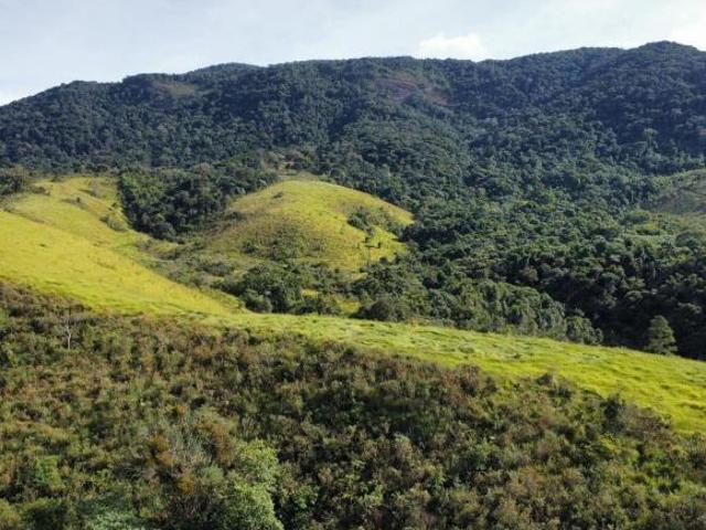 Fazenda