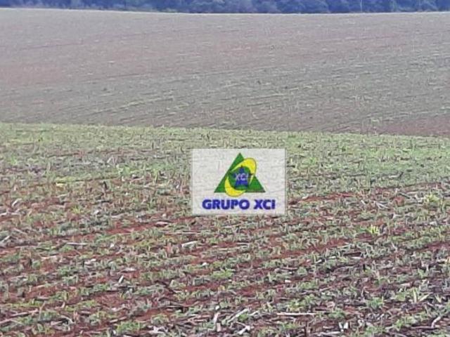 Fazenda