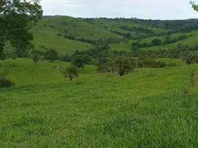 Fazenda